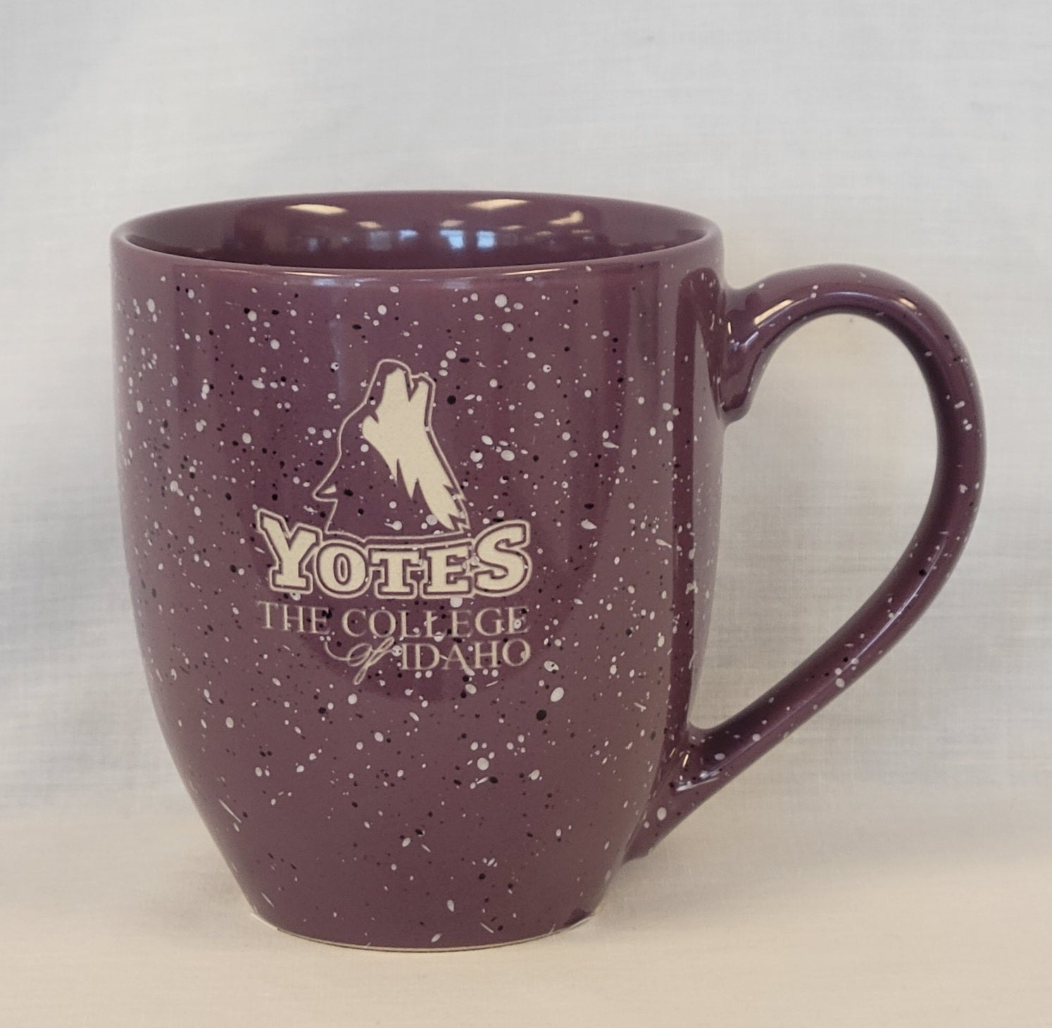 LXG: Speckled Etched Mug-Purple | YoteStore - The College of Idaho's ...